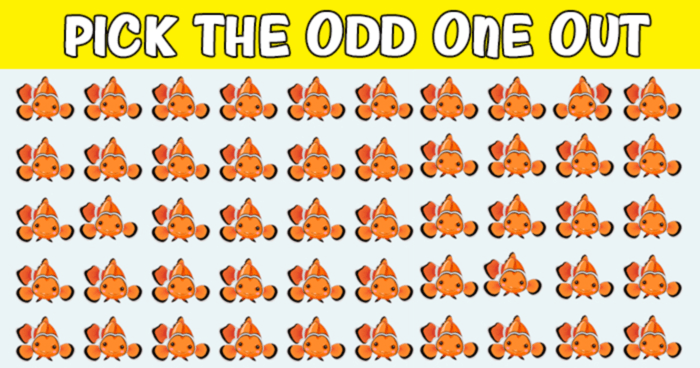 Only 25 People Have Passed This Difficult Odd One Out Quiz So Far! Will ...