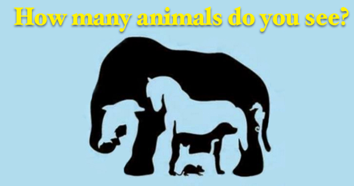 How Many Animals Do You See?- Take the riddle