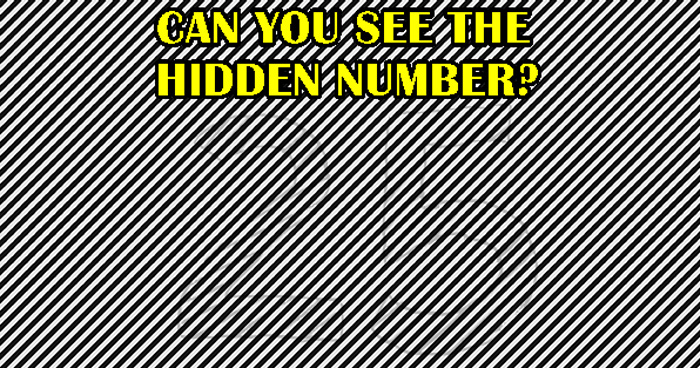 Can You See The Hidden Number?- Take the riddle